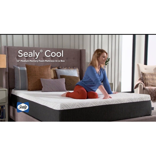 Sealy cool comfort mattress store